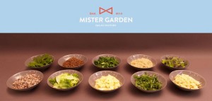 Mister Garden – Salad bar – meilleures salades de Paris – Paris Frivole