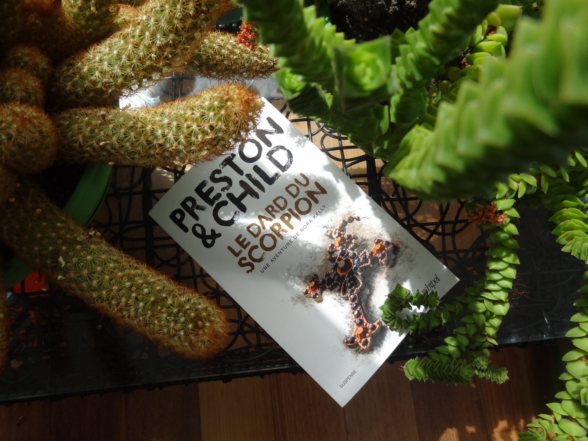 Le Dard du Scorpion – éditions l’Archipel – Preston & Child – Paris Frivole