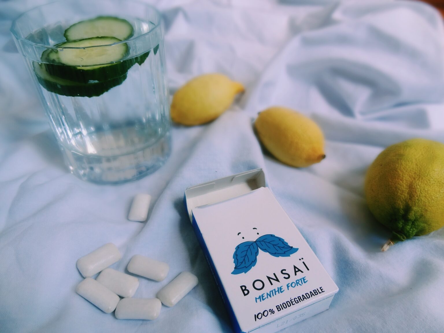 Bonsai – le chewing gum naturel, biodégradable et sans plastique ...